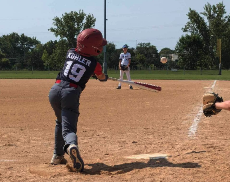 Home - Palatine Community Baseball & Softball